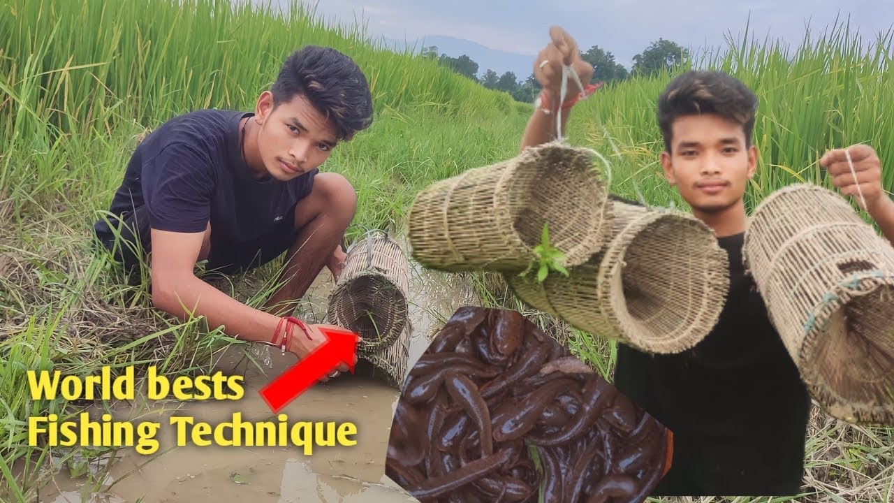 Worlds Bests Fishing Techniques / Duniya ka best Fishing Tarika . - YouTube