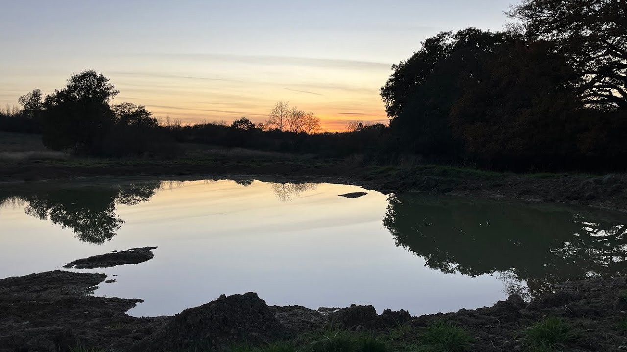 Gibbets Close Hill Nature Reserve by drone, Witney, Oxfordshire (Nov ...