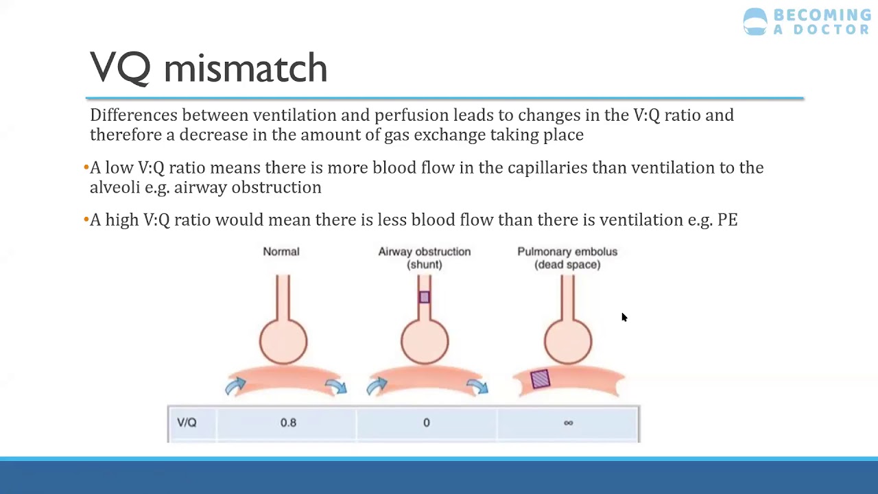 Online Tutorial | Subject: Respiratory | Topic: Respiratory Physiology ...