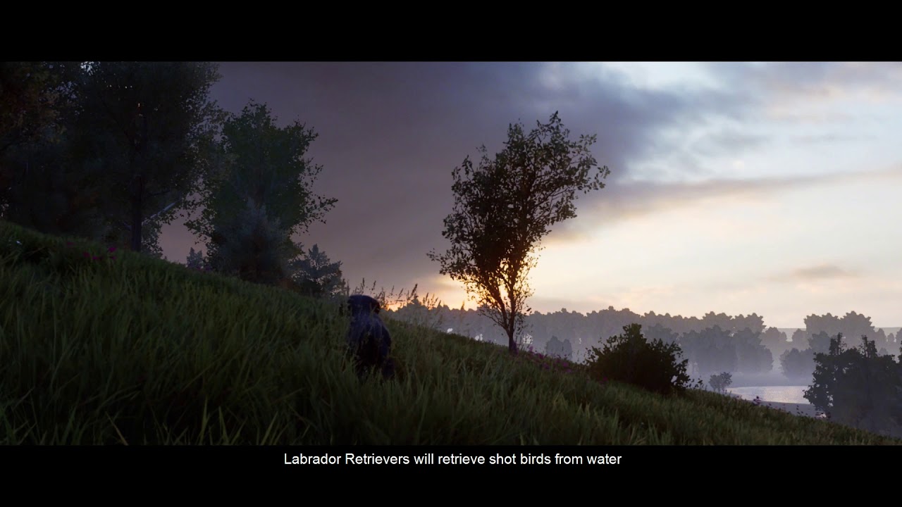 Hunting Simulator 2 - Hunting with your dog - YouTube