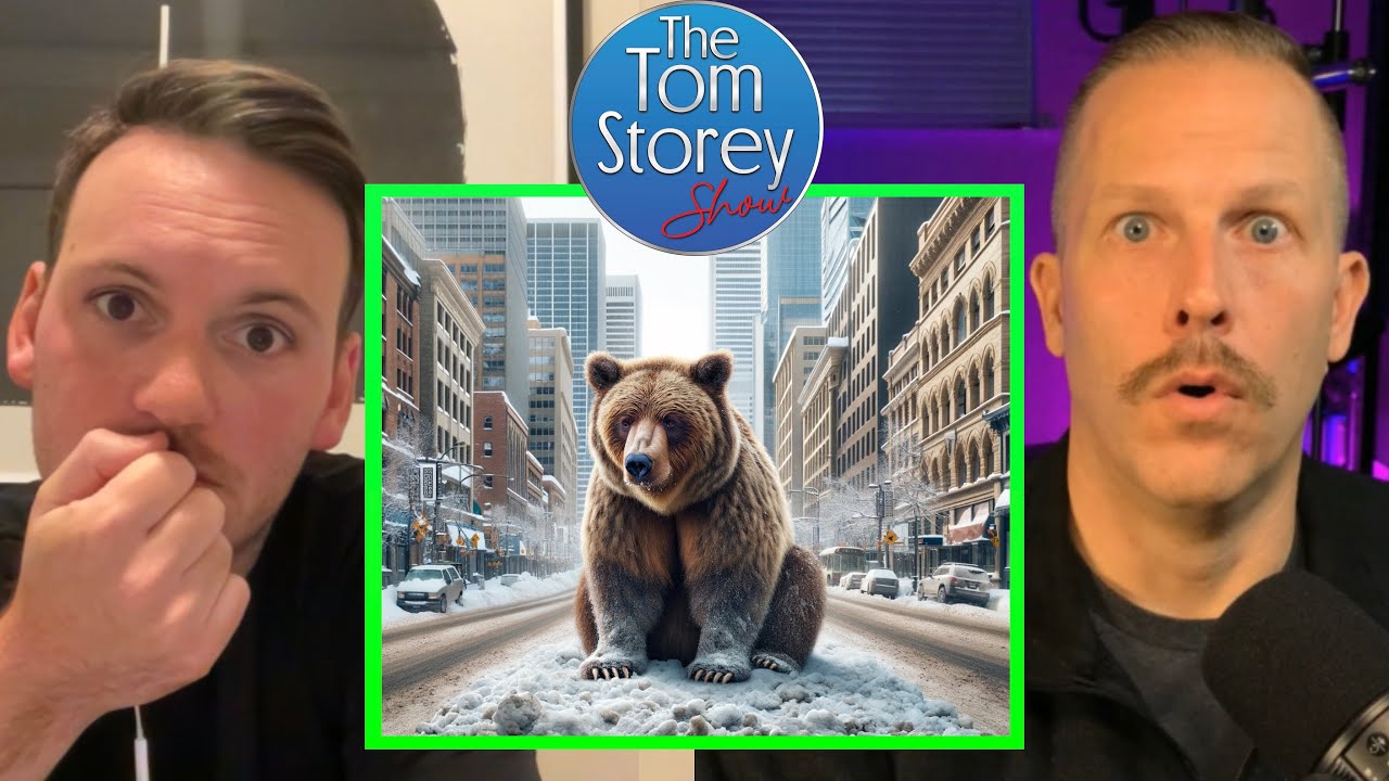 🇨🇦Canadian Real Estate in "Hibernation Mode" with Vonny Fast - YouTube