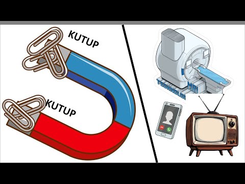 2025 Yılı 4. Sınıf Mıknatıslar ve Kullanım Alanları