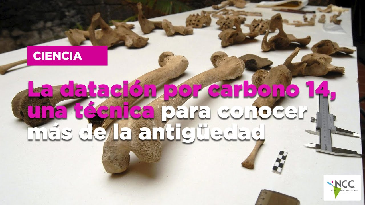 La datación por carbono 14, una técnica para conocer más de la ...