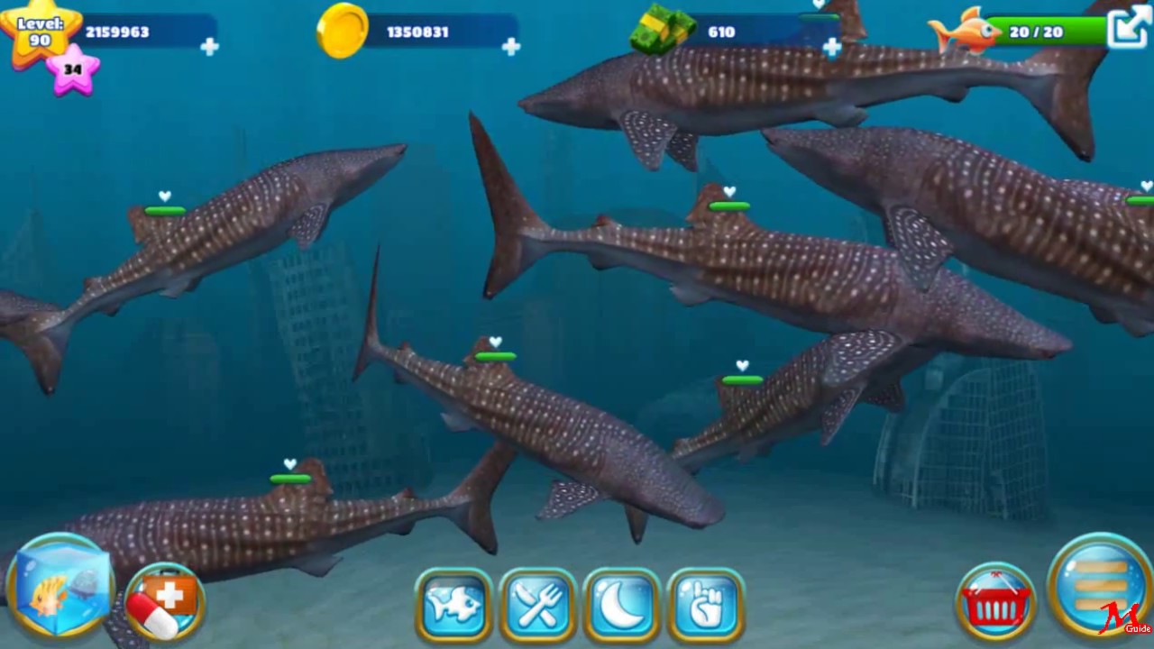 Fish Farm 3 | Level 93 - 200 Whale Shark | Update #11 - YouTube