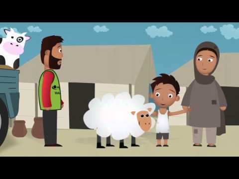 Muslim Aid - Qurbani 2012