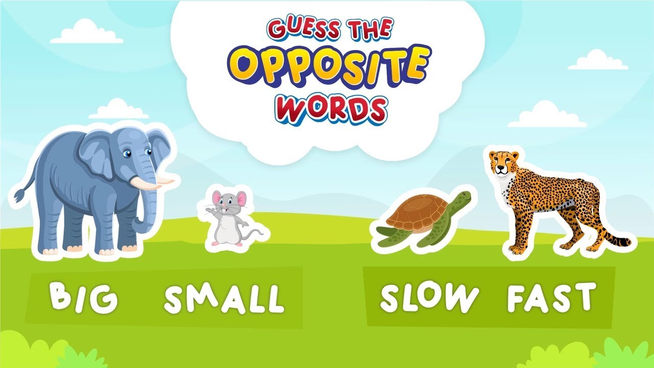 ⭐Opposite Words in English | Antonyms And Synonyms Vocabularies With ...