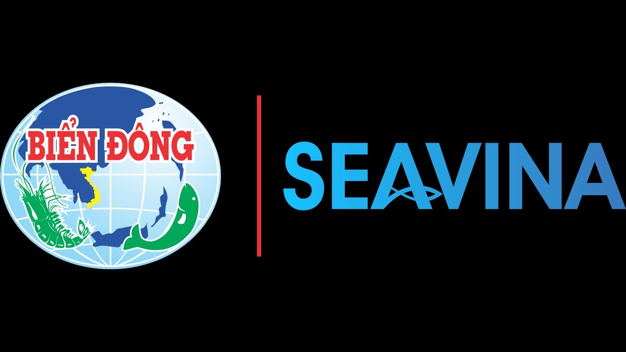 Bien Dong & Seavina Seafood Companies in Viet Nam - YouTube
