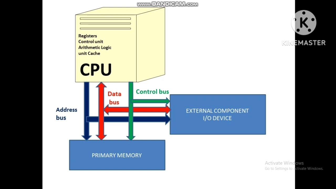 System bus ||Address bus||Data bus||Control bus|| computer Architecture and organisation - YouTube