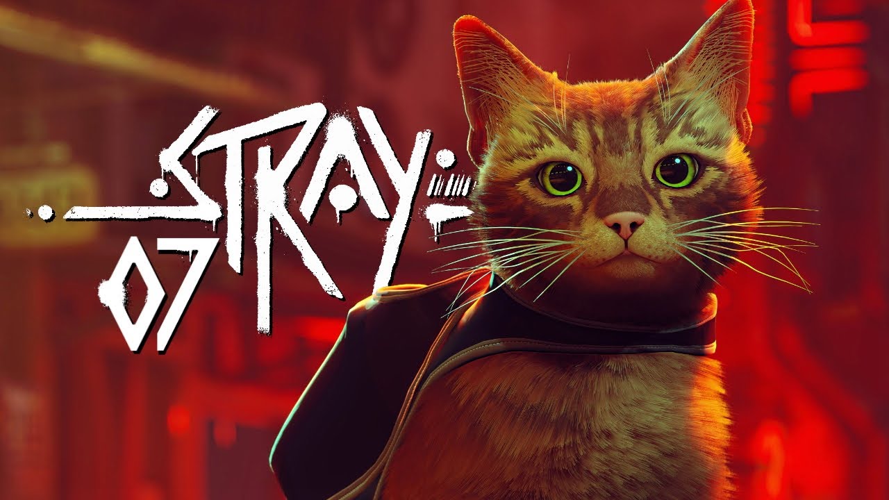 Stray PL #7 - Jam jest Kot Włamywacz - 4K Gameplay PL - YouTube