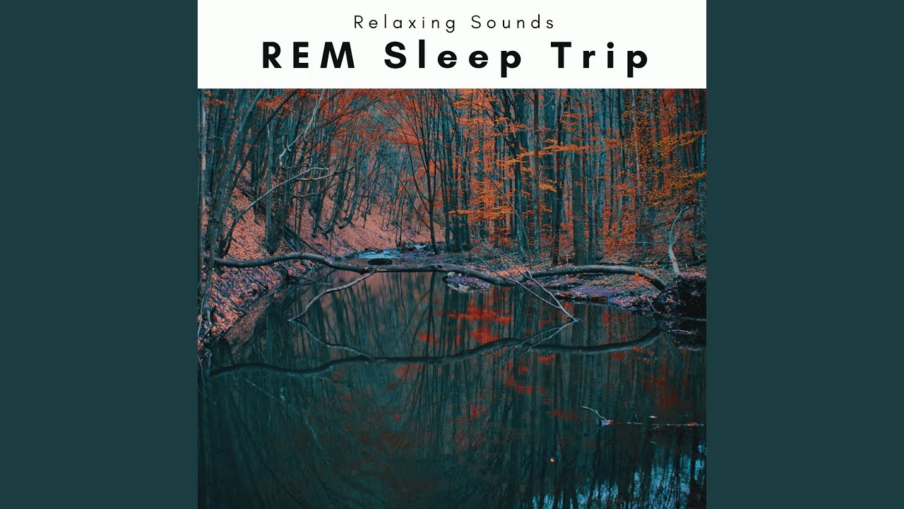 Full Nap Trip with Earthly Soothing Noises - YouTube