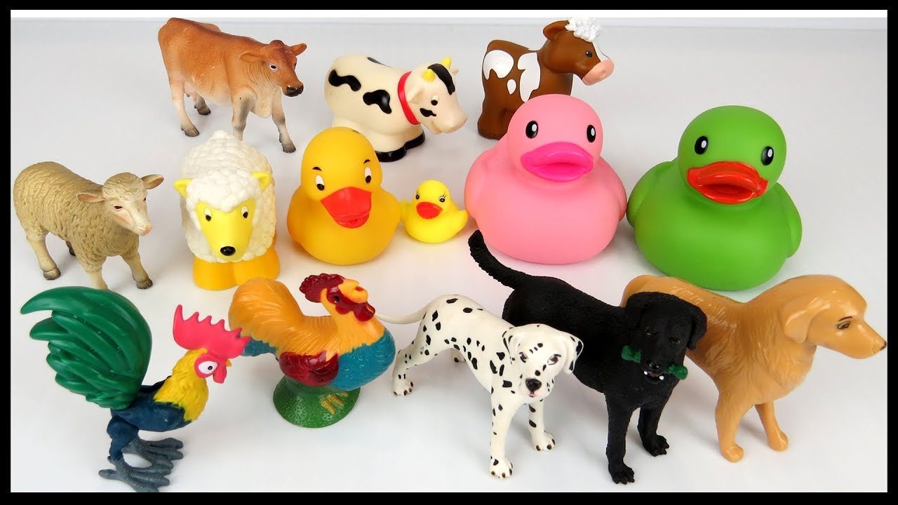 FARM ANIMALS - Cow Chicken sheep duck rooster dogs - YouTube