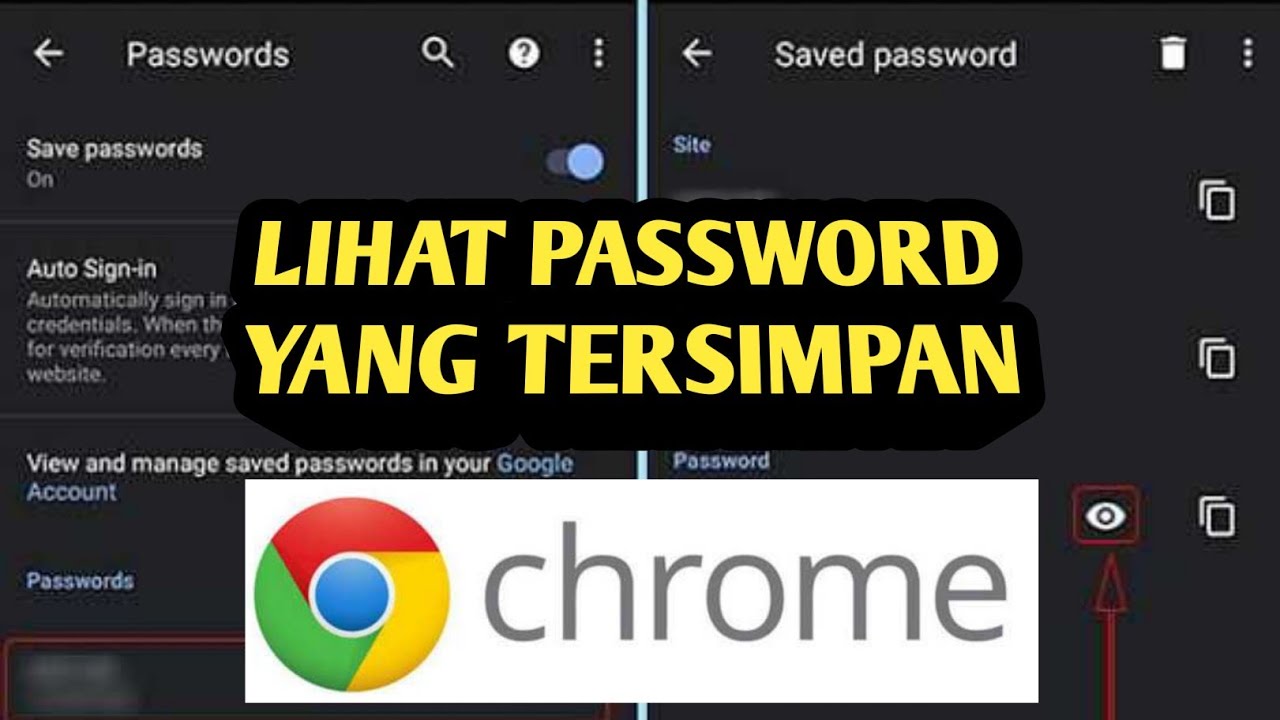 Cara Melihat Password Di Browser Google Chrome | My XXX Hot Girl Cara Melihat Password Di Browser Google Chrome | My XXX Hot Girl