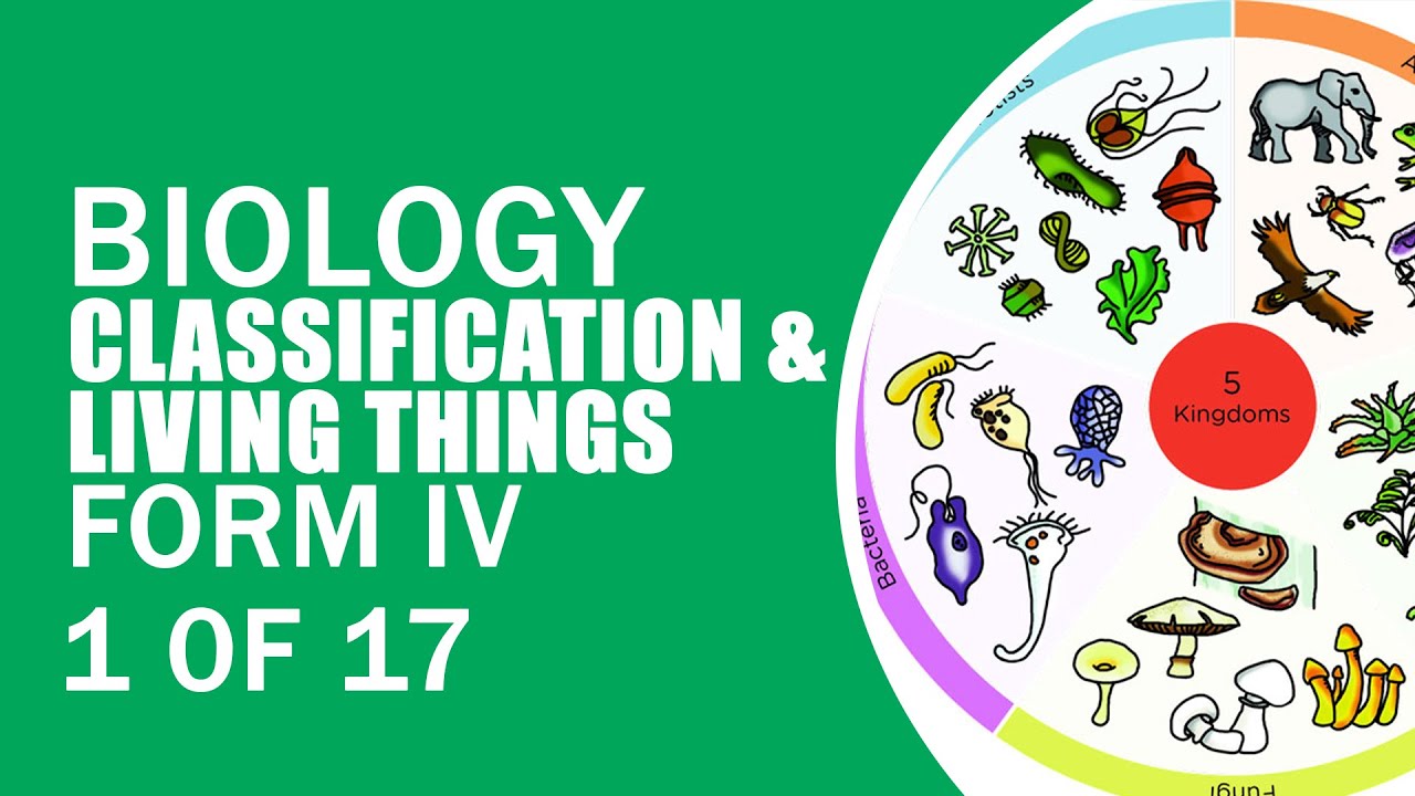 BIOLOGY FORM FOUR CLASSIFICATION OF LIVING THINGS 1 TO 17 - YouTube
