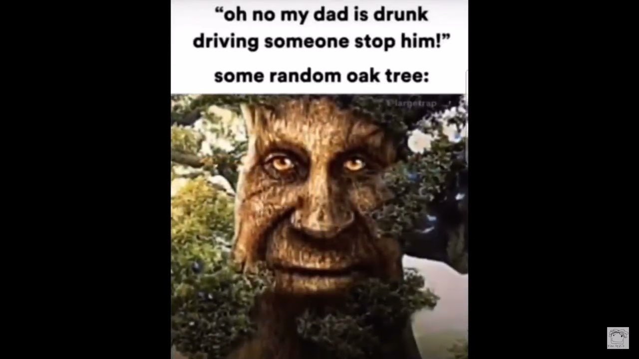 Oh no my dad is driving drunk someone stop him! Some random oak tree ...