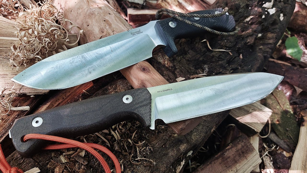 SUPER SFIDA LIONSTEEL - M7 VS T6 - YouTube