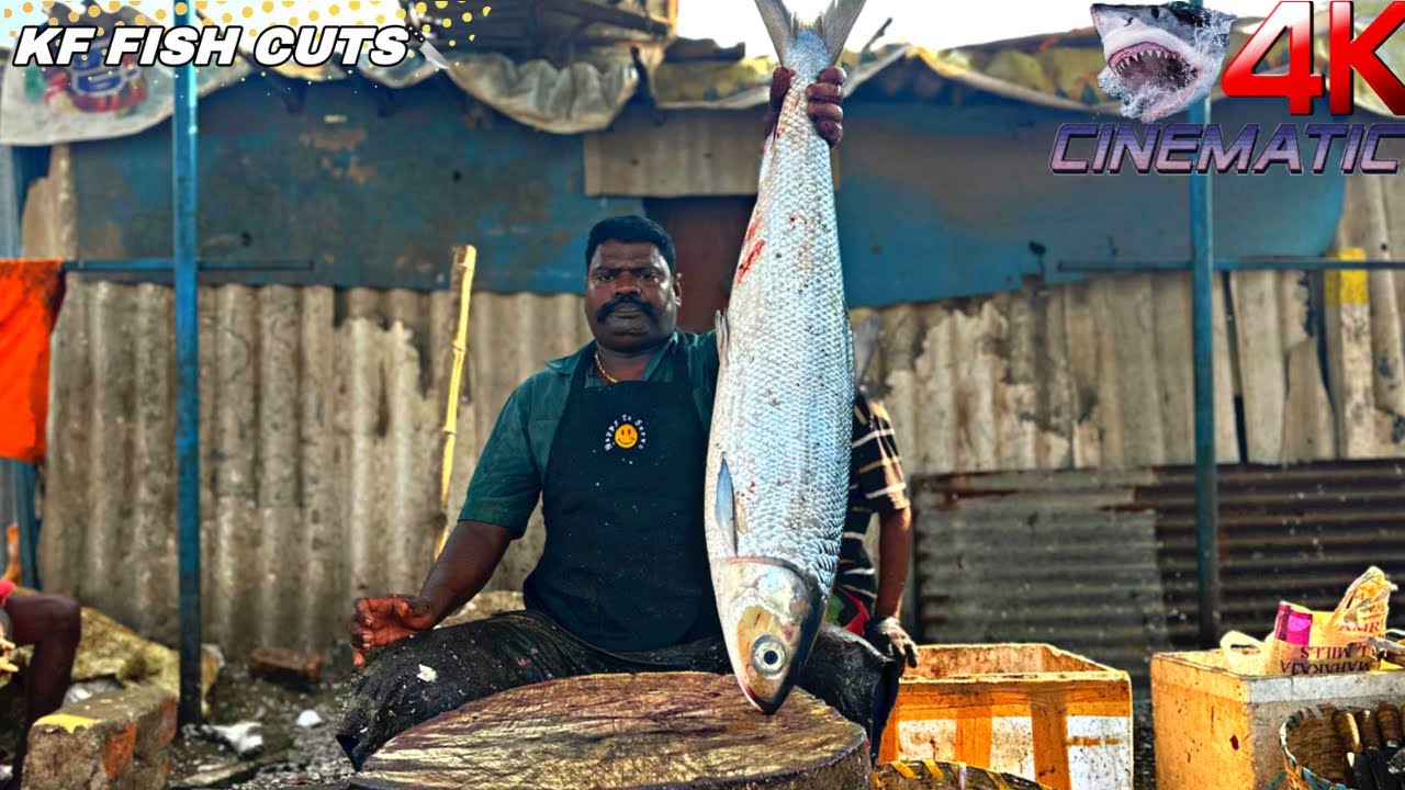 9 KG KENDAL KASIMEDU SPEED SELVAM FISH CUTTING🔪🔥KF FISH CUTS - YouTube