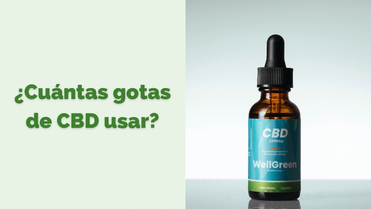 ¿Cuántas gotas de CBD usar? | WellGreen - YouTube