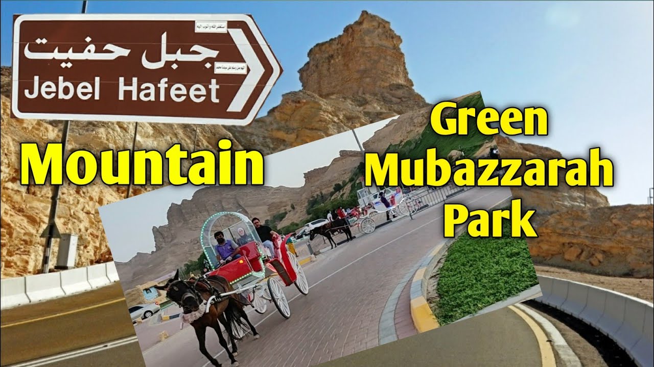 Jebel hafeet al ain|Green Mubazzarah Lake|Green Mubazzarah Dam And Park ...