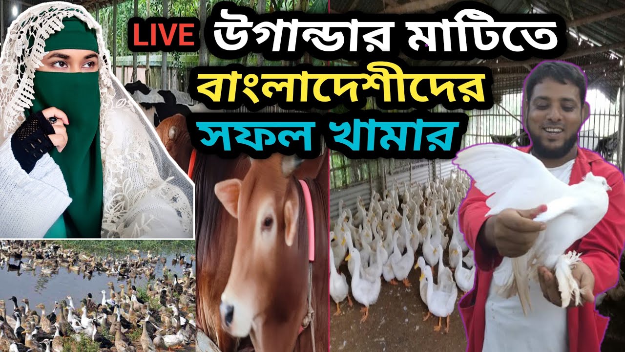 Murshida Akhter Mimi is live! - YouTube