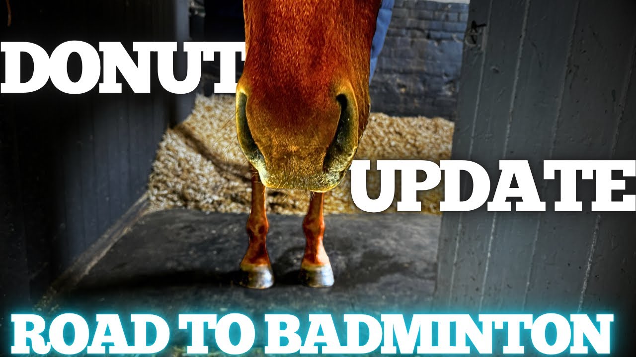 What's going on with Donut? - Road to Badminton Grassroots Series ...