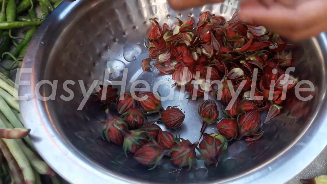 Roselle Hibiscus Plant, Vegetable and Fruits | How To Prepare Rosella ...