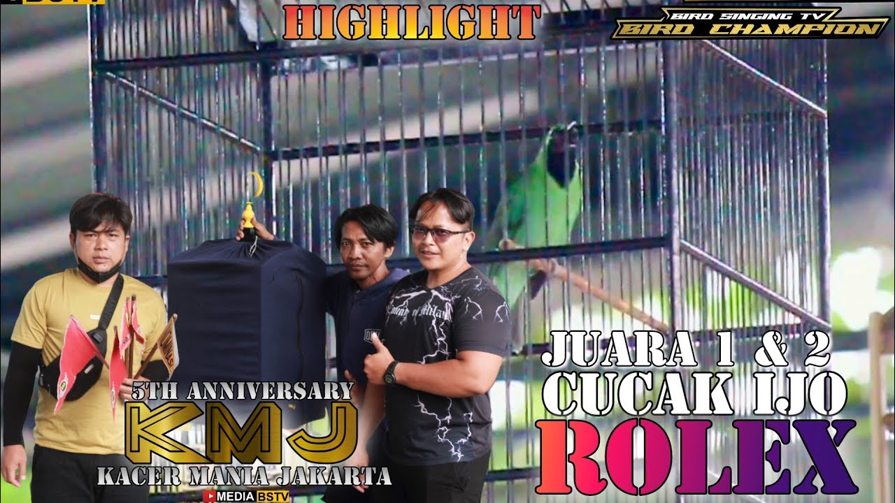 HIGHLIGHT‼️CUCAK IJO ROLEX PODIUM 1 & 2 5TH ANNIVERSARY KMJ - KACER ...