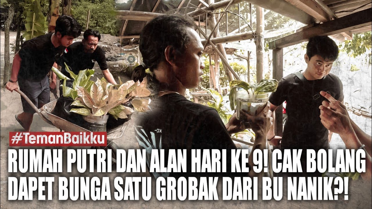 RUMAH PUTRI DAN ALAN HARI KE 9! CAK BOLANG DAPET BUNGA DARI BU NANIK ...