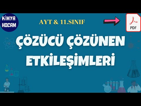 Çözücü Çözünen Etkileşimleri | Sıvı Çözeltiler ve Çözünürlük |Güncel|Ayt|11.Sınıf|Anlama Garantili