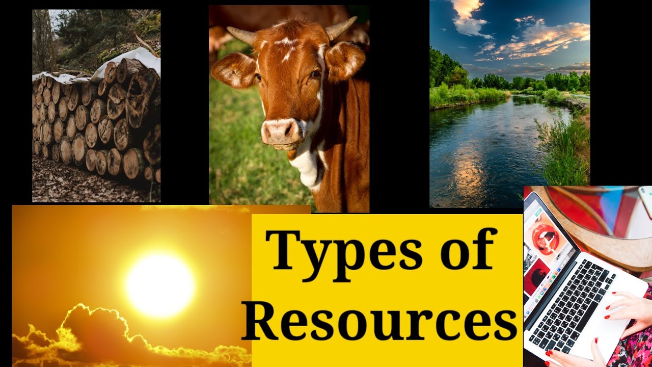 Types Of Resources | Resources | NCERT Class 8 Geography | CBSE class 8 ...