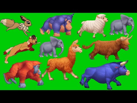 Animated animals running working voice animation #animation - YouTube
