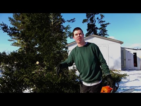 Hayden Stover's Second Passion - YouTube