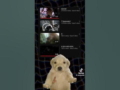 El caso de Alan tutorial | Caso explicado - YouTube