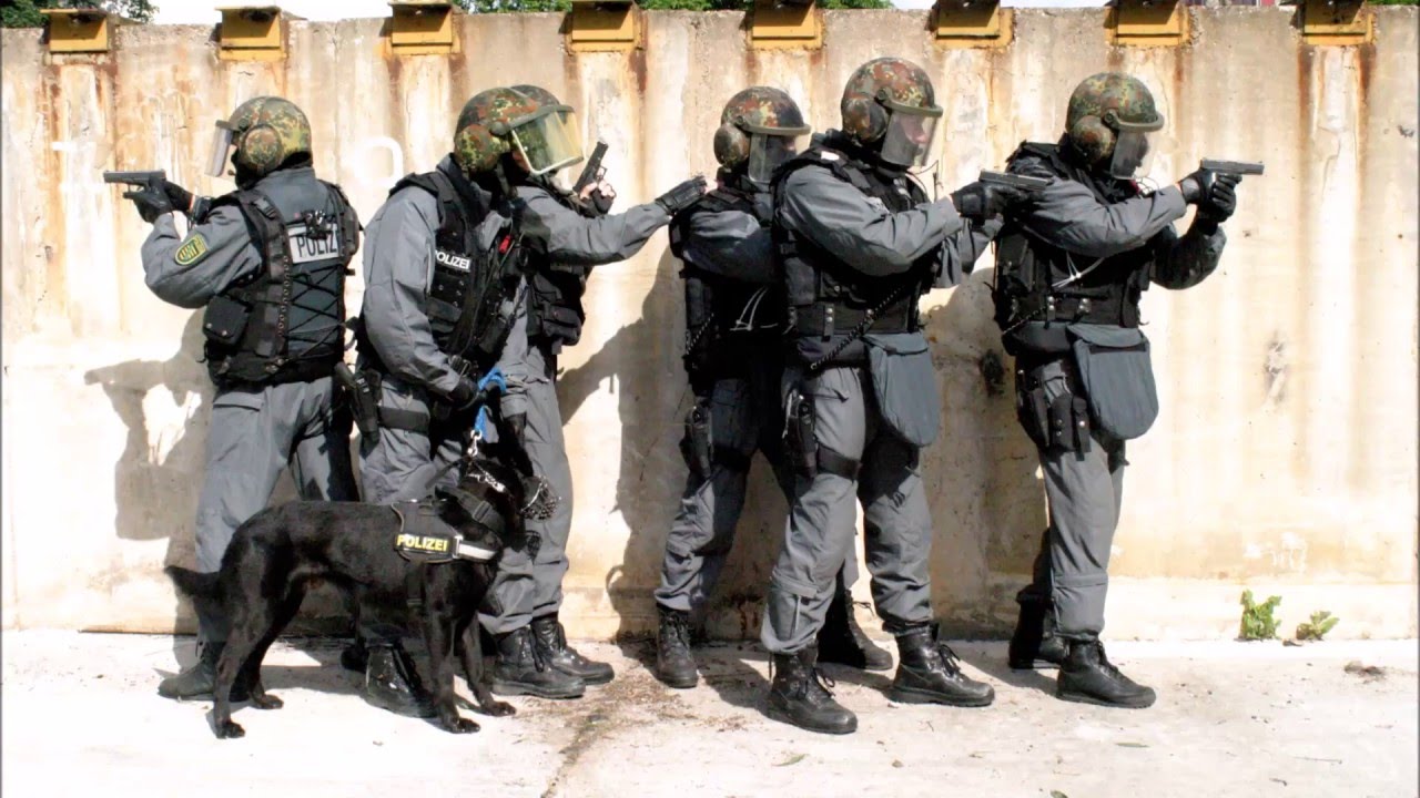Training of Special Dogs K9 - YouTube