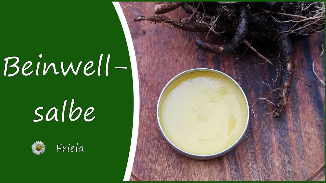 Beinwellsalbe Selber Machen