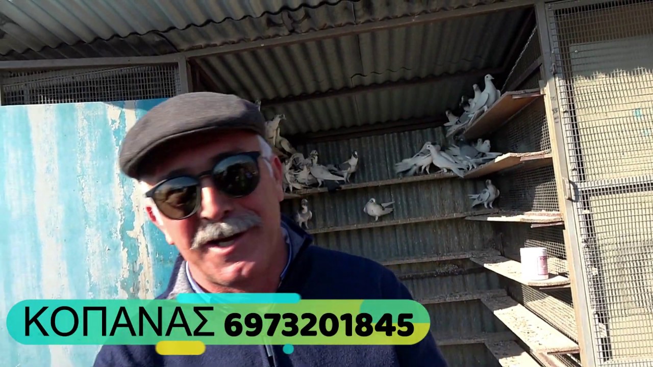 ΠΕΡΙΣΤΕΡΙΑ ΚΟΠΑΝΑΣ ΒΟΛΟΣ ΤΑ ΑΣΠΡΑ ΤΟΝ ΕΒΓΑΛΑΝ ΑΣΠΡΟΠΡΟΣΩΠΟ 2019 - YouTube