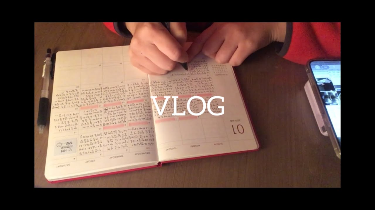 Vlog 설날에도 기록하는 하루 • 눈사람 만들기 • 독서 브이로그 • 다이어리 브이로그 • 기록 • 대학생 • 집순이 브이