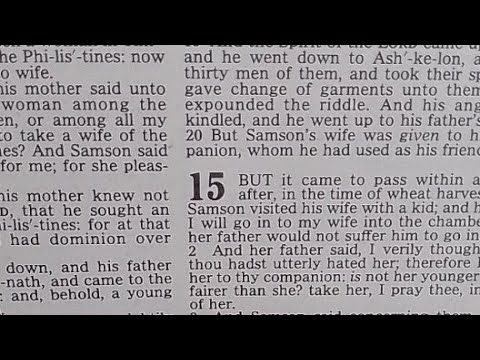 SAMSON DEFEATS THE PHILISTINES - JUDGES CHAPTER 15. - YouTube