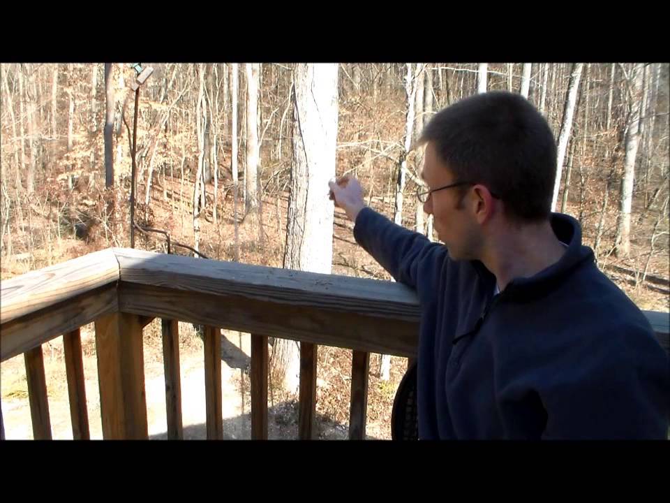 4 Types Of Potential Energy YouTube 4-types-of-potential-energy-youtube