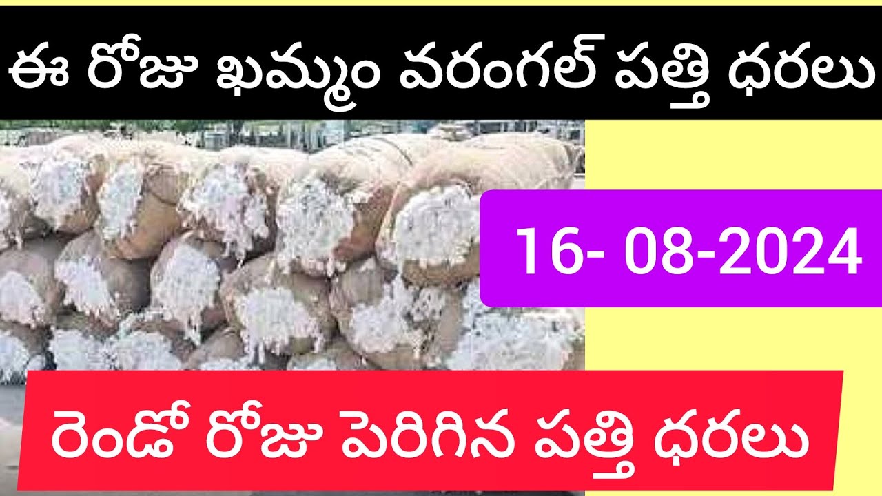 అవసరాల కోసం: 16-08-2024 ఖమ్మం వ్యవసాయ మార్కెట్లో పత్తి, మిర్చి ధరలు ...