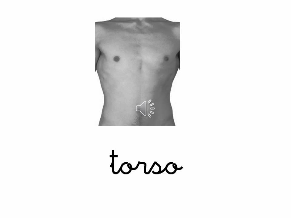 head, torso and limbs-1.mp4 - YouTube