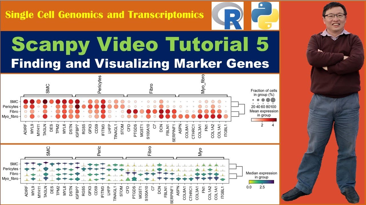 Scanpy Video Tutorial 5 Finding And Visualizing Marker Genes Youtube