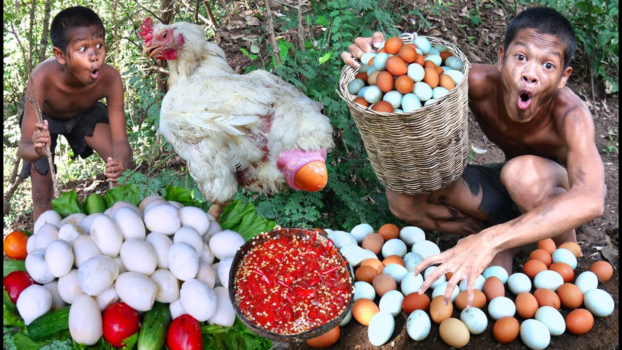 Primitive Technology - Meet Chicken & Cooking Egg Eating Delicious ...