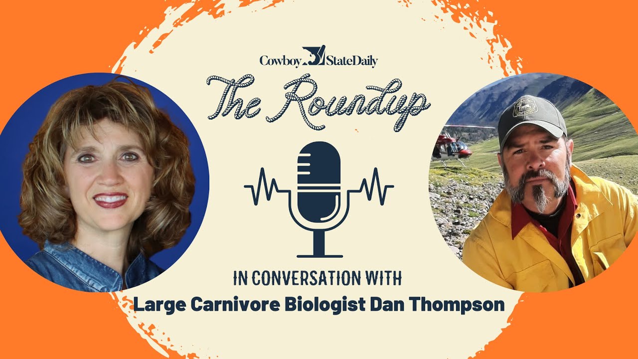 The Roundup: A Conversation with Dan Thompson, Large Carnivore ...