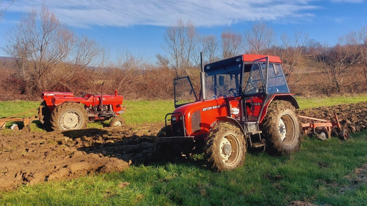 Oranje sa 3 traktora IMT 578 i dva Zetora 6340 - YouTube