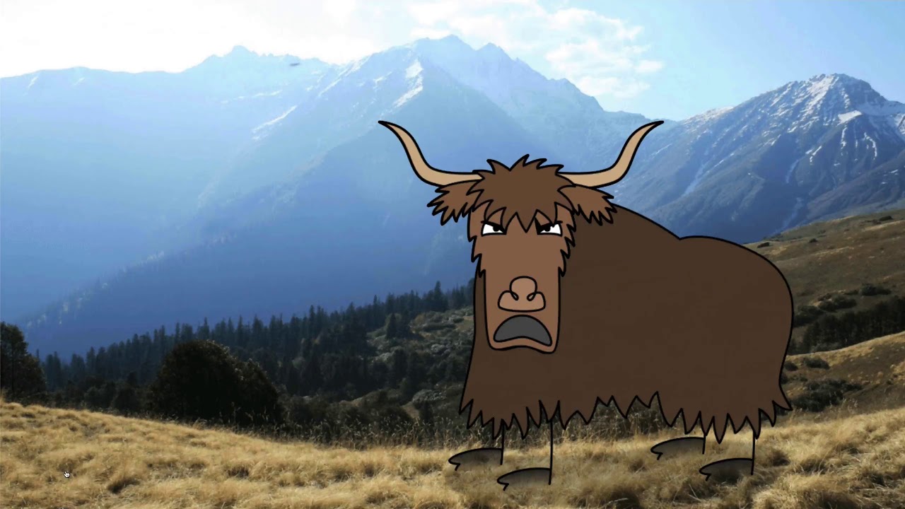 PCNA Yak Shaving Excerpt - YouTube