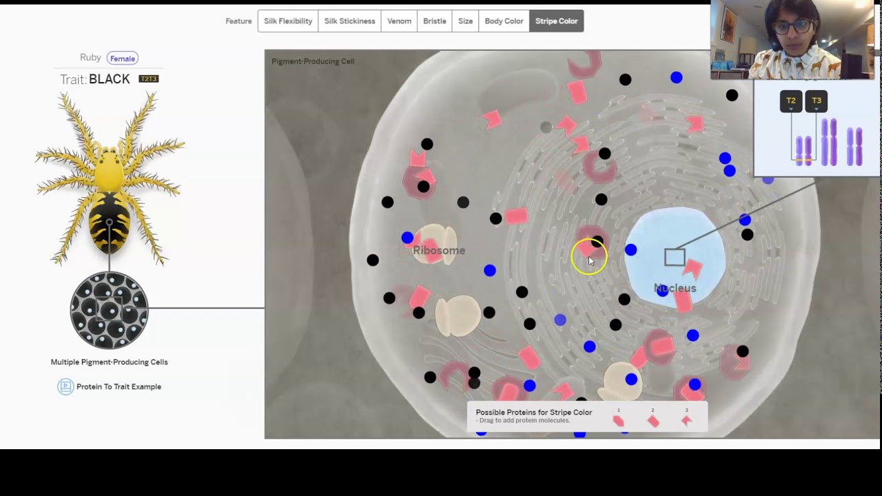 Grade 8: Natural Selection, Lesson 5A (Part 2 of 4) - YouTube