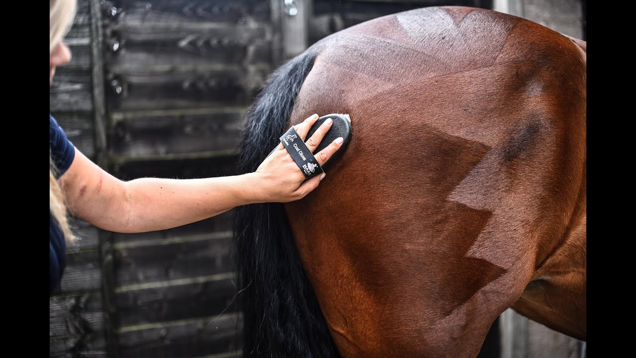 Eqclusive - Quarter Mark Tutorial using Alan Davies Quatermarker - YouTube