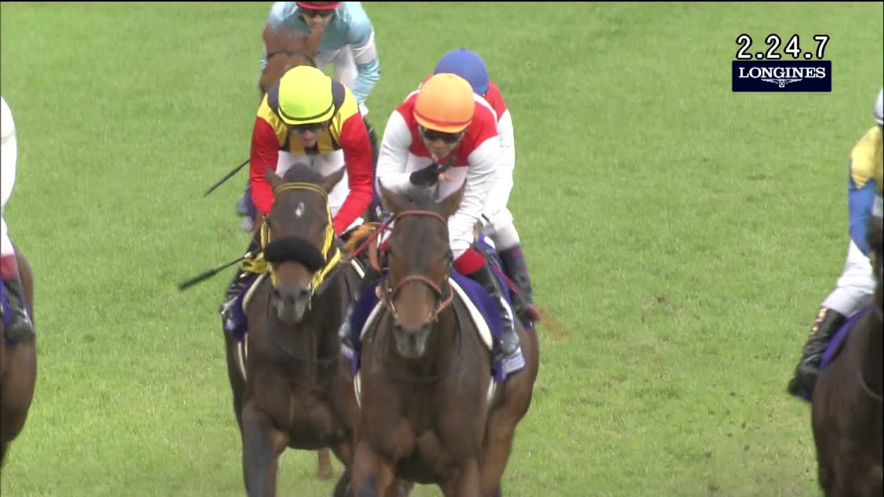 2015 Japan Cup (G1) | JRA Official - YouTube