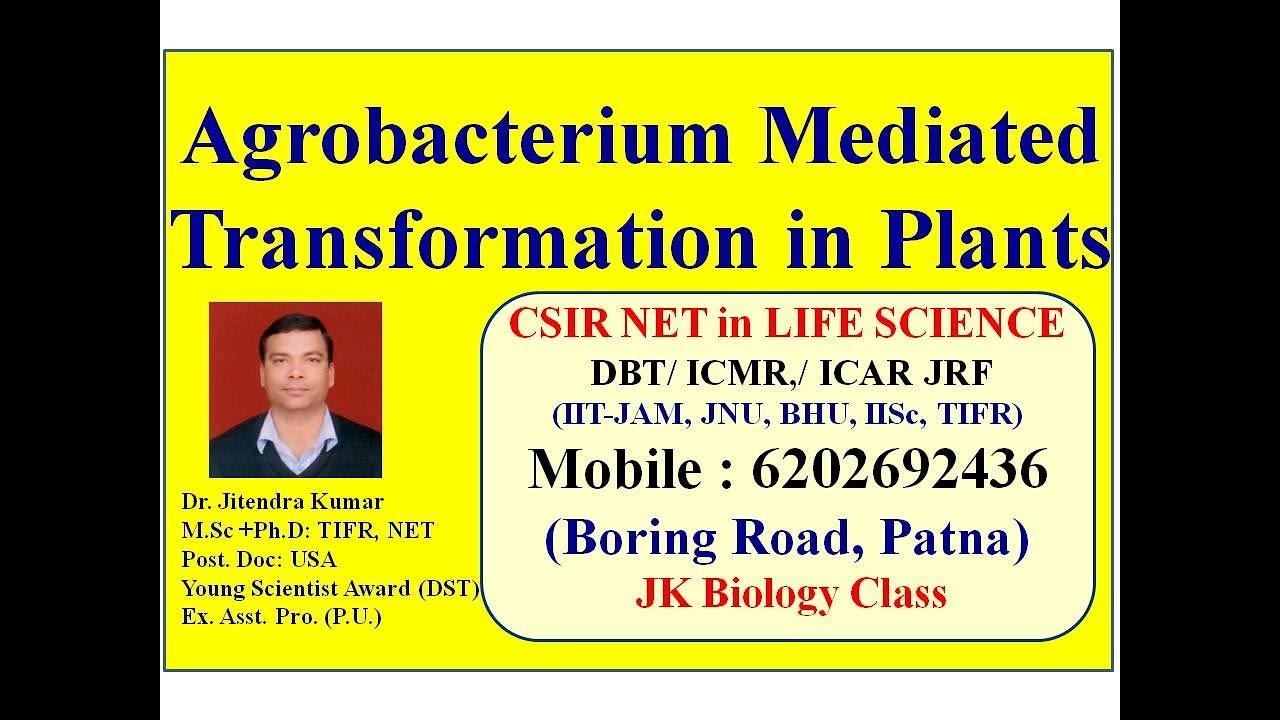 Agrobacterium Mediated Transformation: Ti plasmid, vir gene function ...