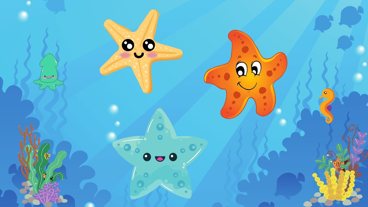 Sing Along! Happy Starfish A Baby Shark Friend Educational School Song ...